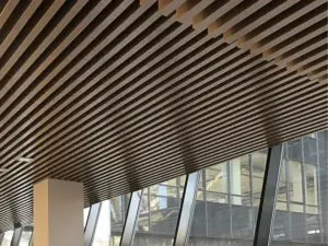 Ceiling Panels Guaranteed Best Construction Material Philippines ...